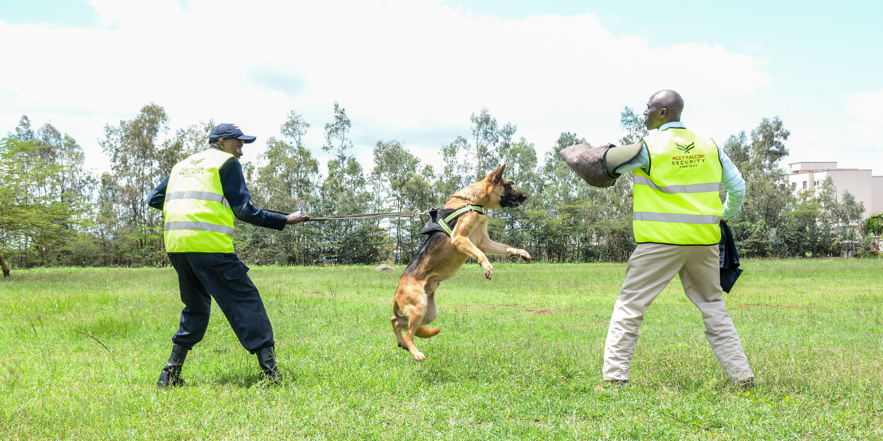 Home - Riley Falcon Security Services